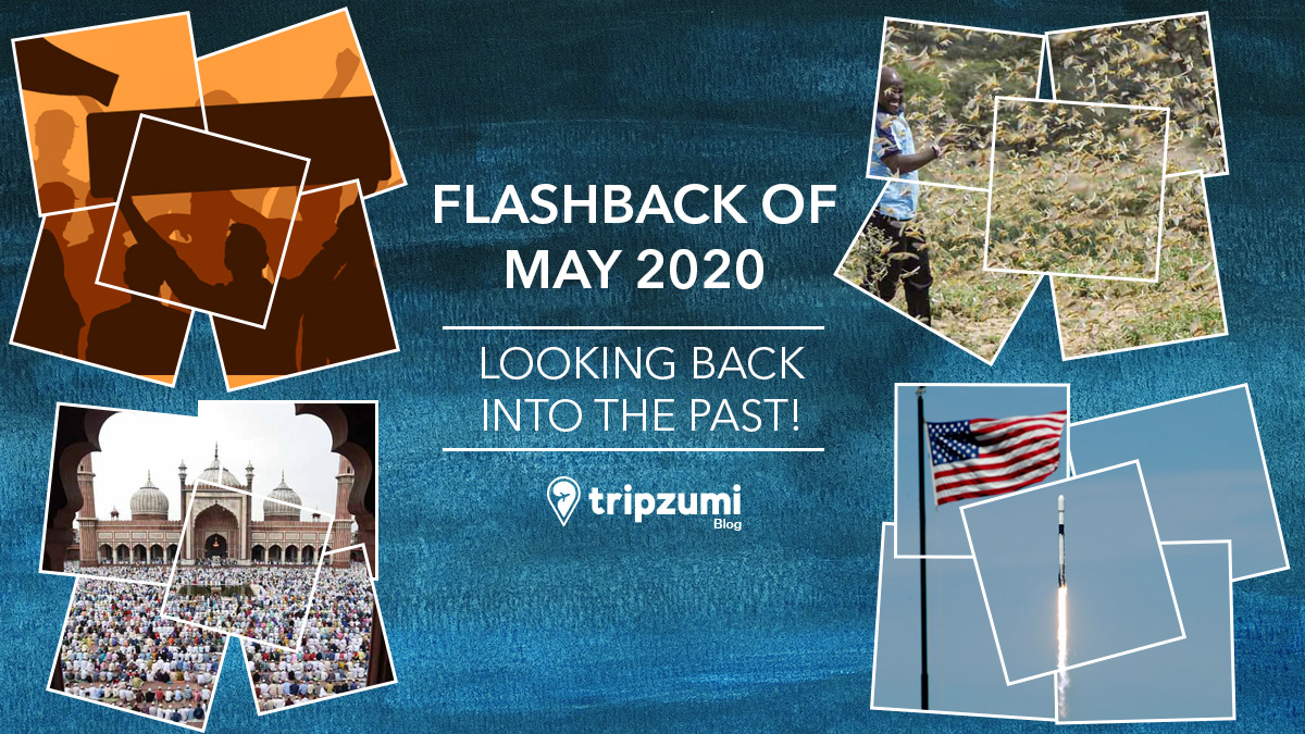 Flashback of May 2020 - Looking Back Into the Past! - Tripzumi Blog