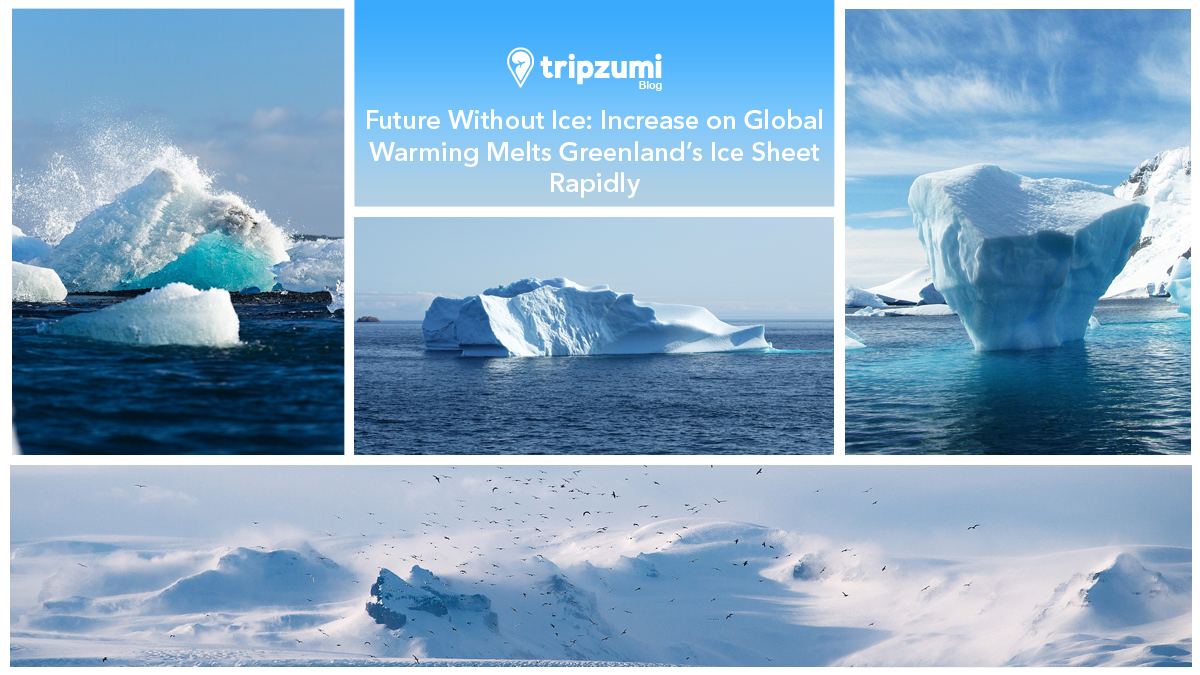Future Without Ice: Increase on Global Warming Melts Greenland’s Ice ...